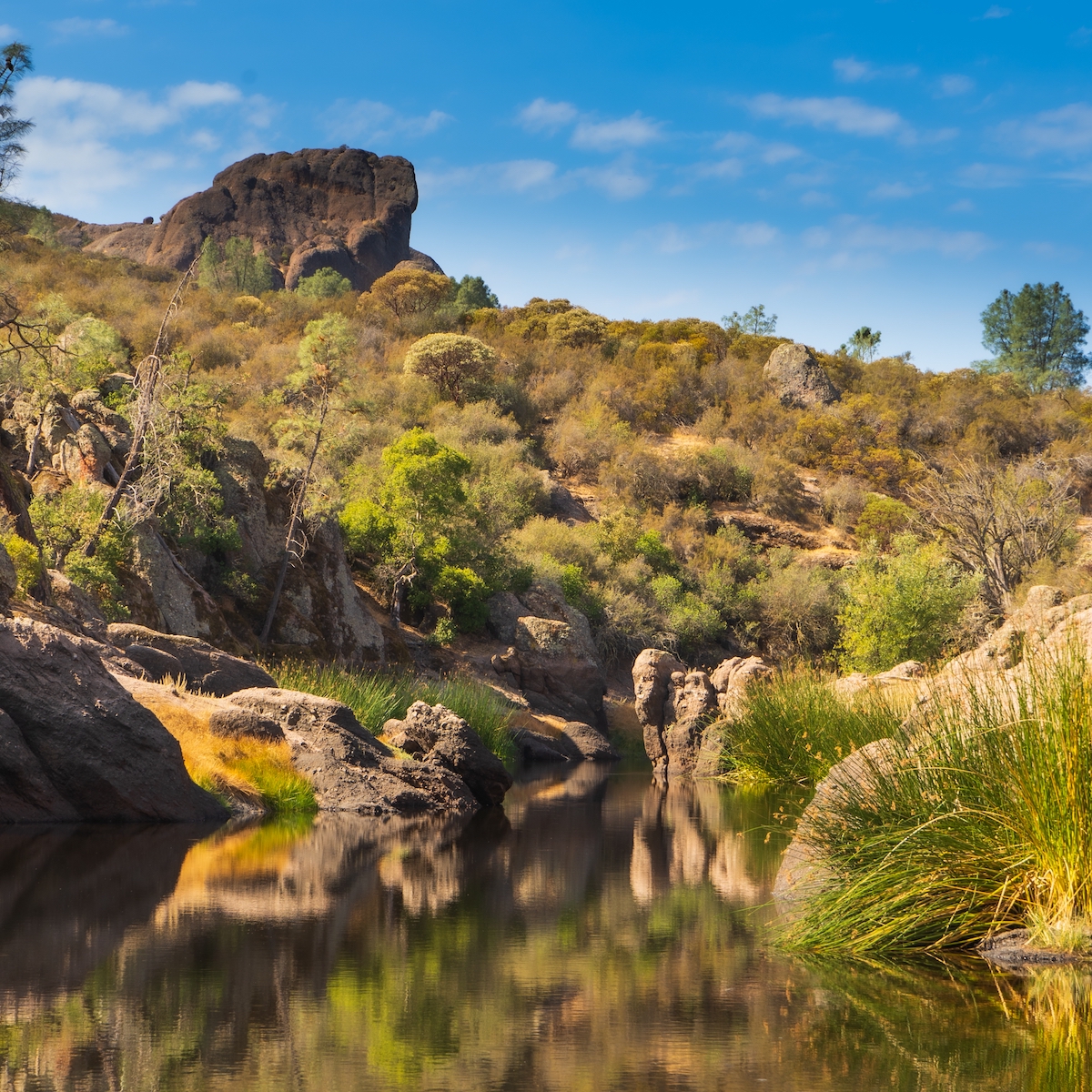 5 Smallest National Parks In The U.S. And The Best Experiences At Each ...