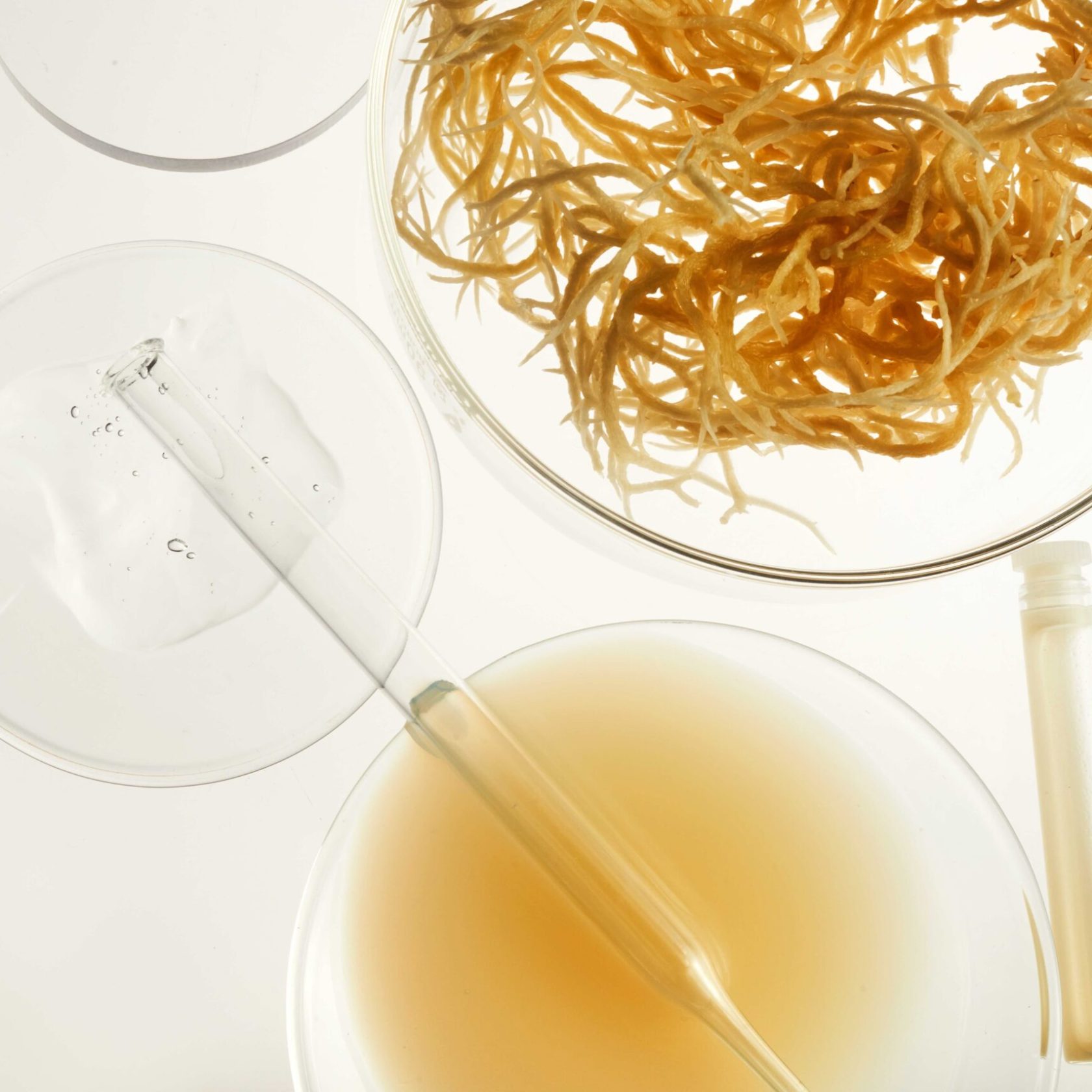 I Tried Sea Moss Gel — Here’s What Happened | TravelAwaits