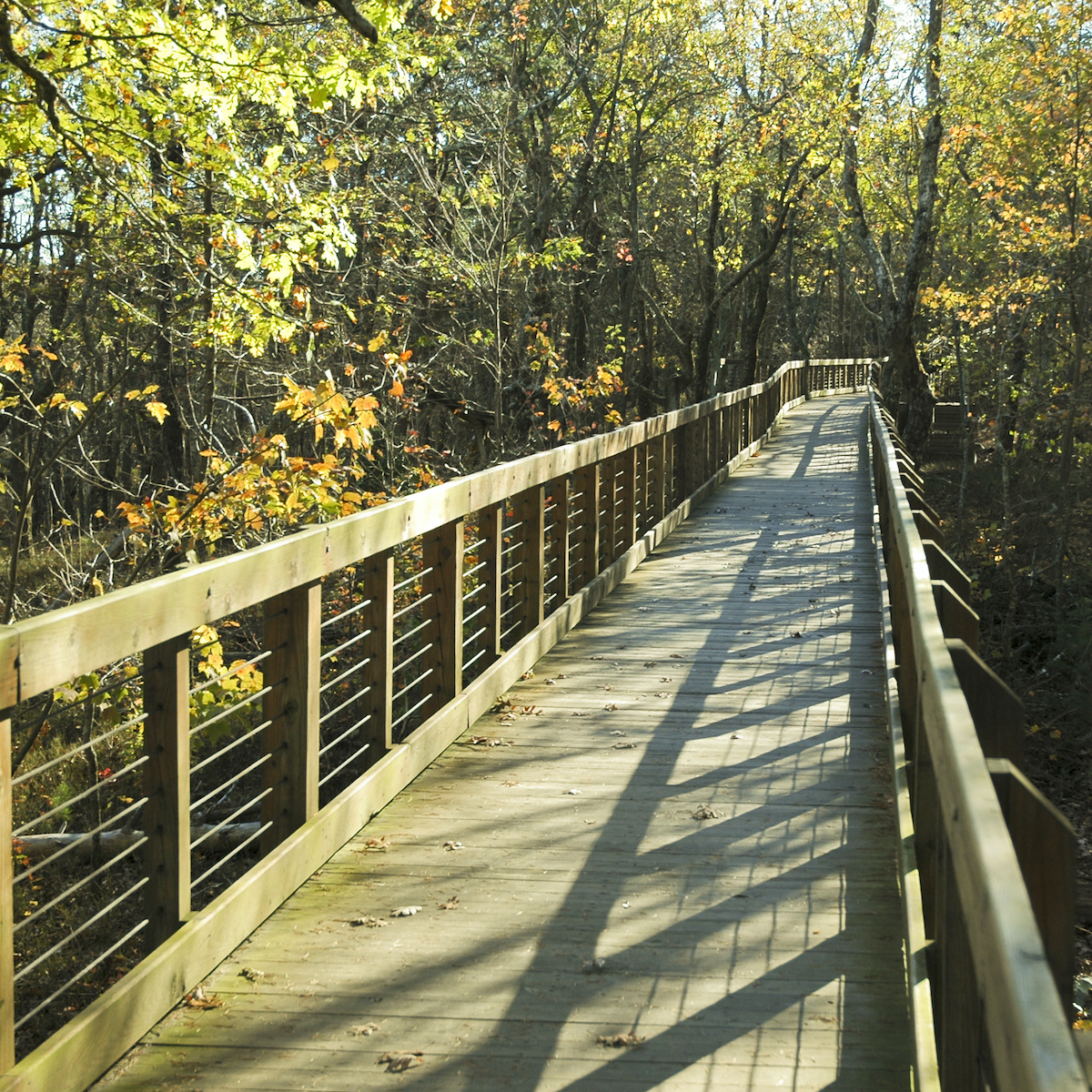 The Best Alabama Hiking Trails For Every Month Of The Year | TravelAwaits
