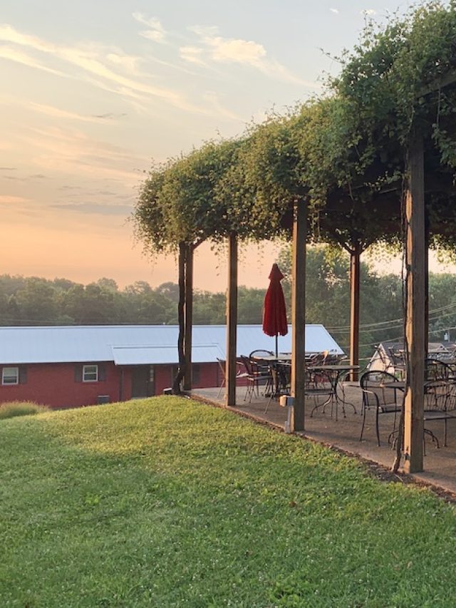 10 Fun Facts About Augusta, Missouri: Wine Country on the Rise ...