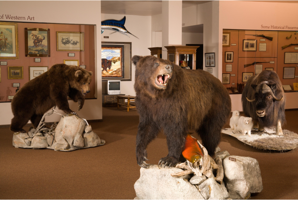 13 Fantastic Things To Do In Beautiful Cheyenne, Wyoming | TravelAwaits