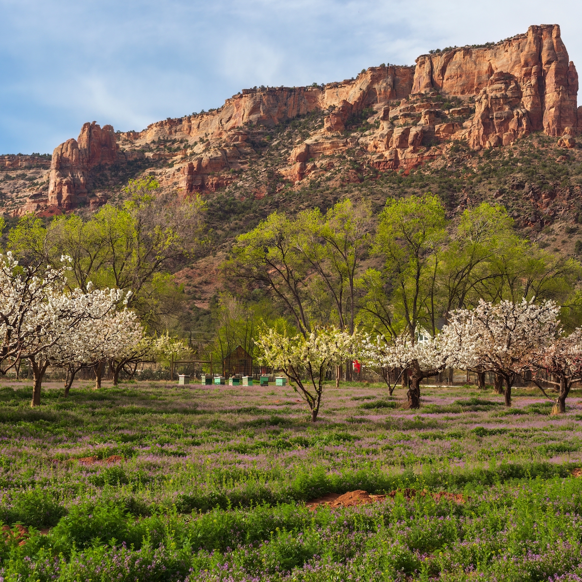 10 Best Things To Do In Colorado | TravelAwaits