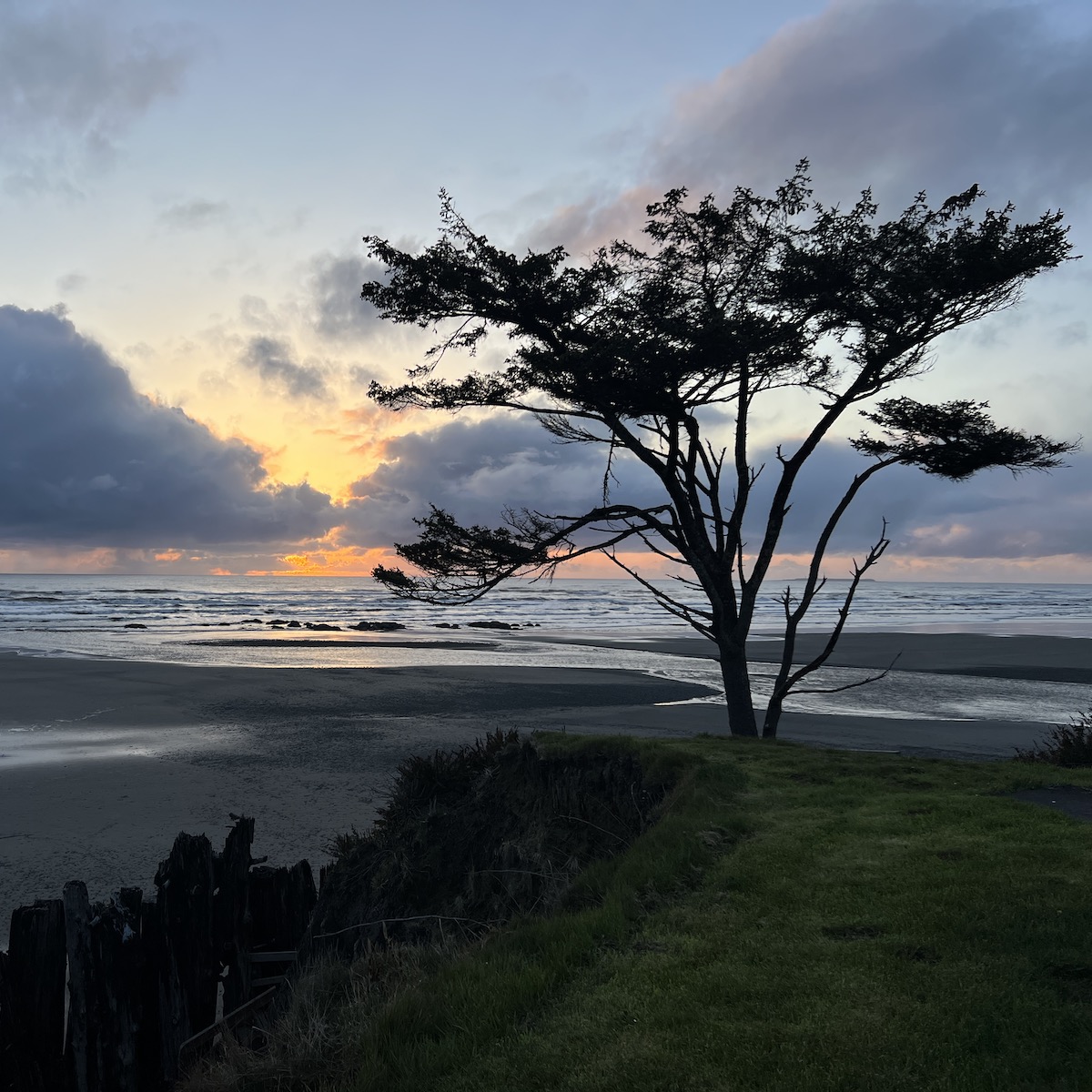 8 Must-Visit Beaches On Washington’s Olympic Peninsula | TravelAwaits