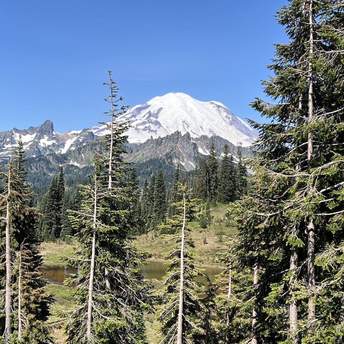 7 Fabulous Stops Along Chinook Scenic Byway, Gateway To Mount Rainier ...