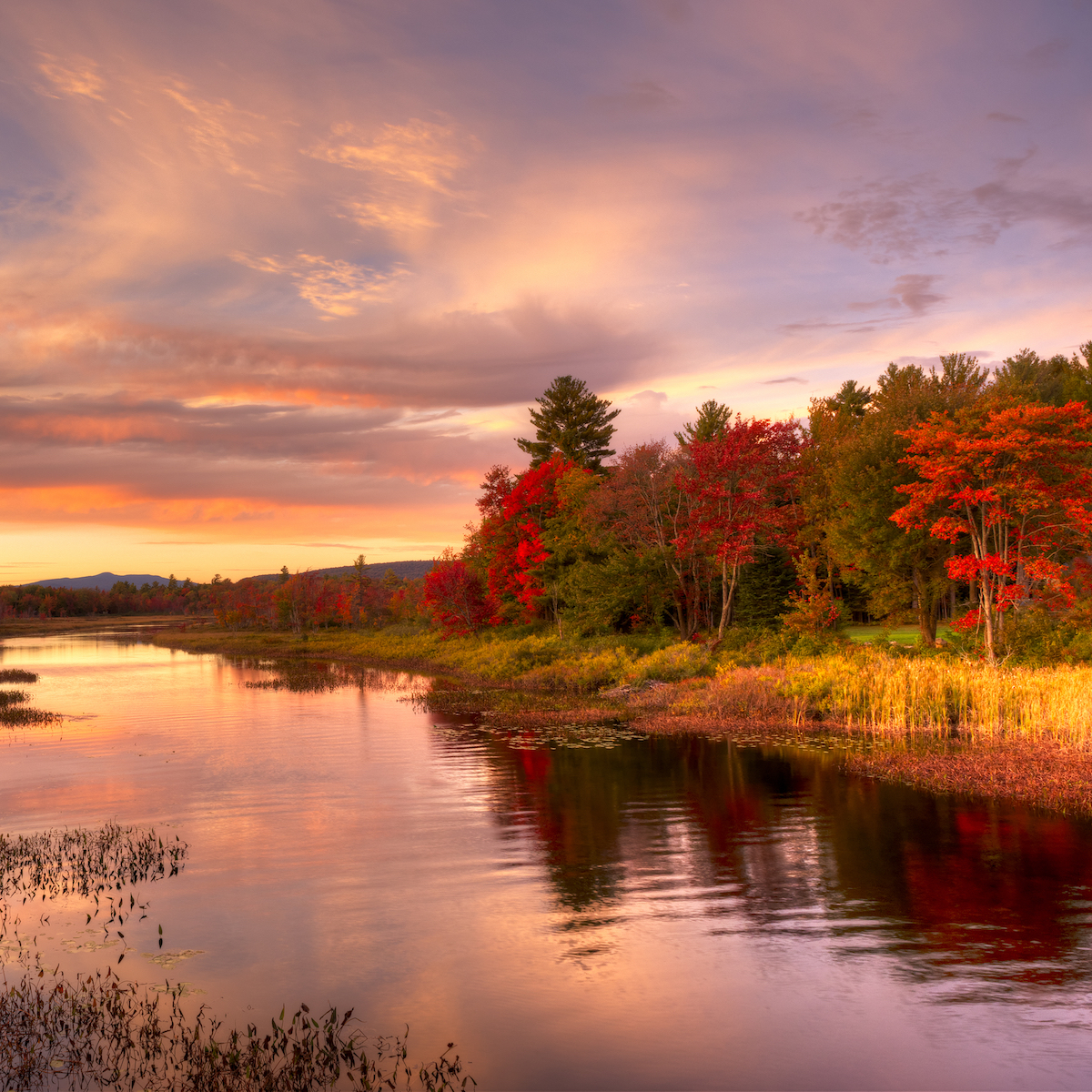 8 Best Things To See And Do In Upstate New York This Fall | TravelAwaits