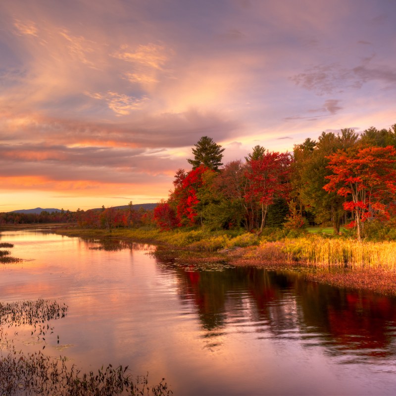 8 Best Things To See And Do In Upstate New York This Fall | TravelAwaits
