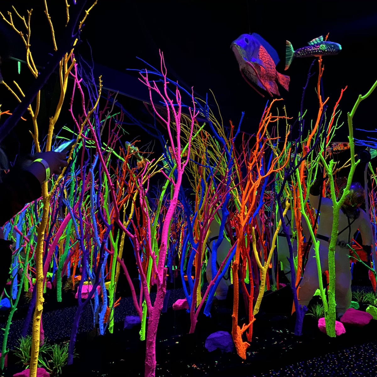 Immersive Meow Wolf Experience Coming To Houston — Everything You Need ...