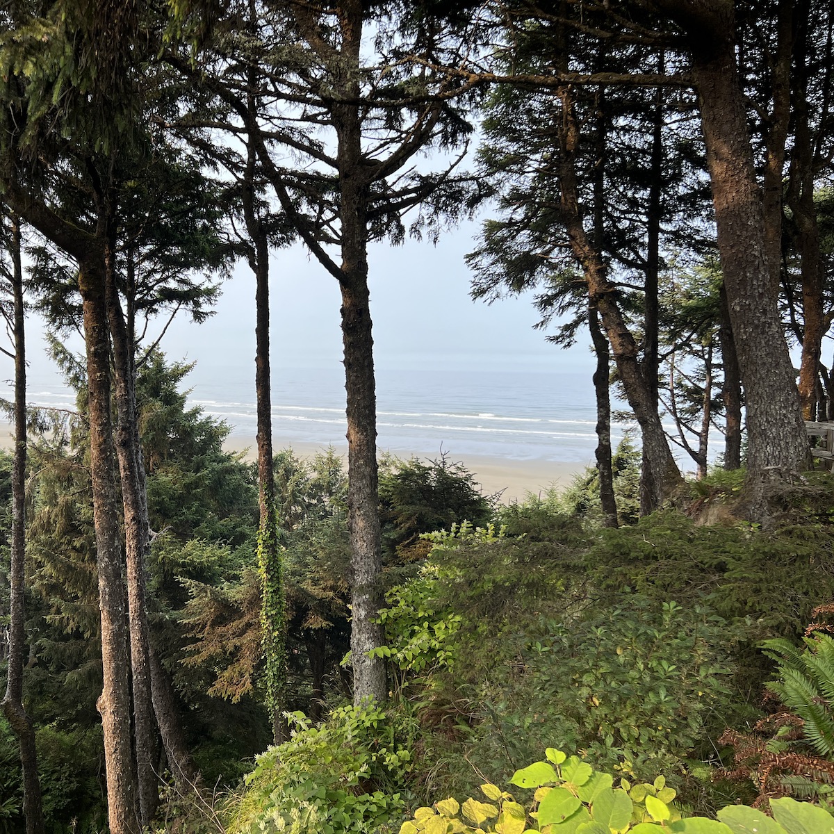 7 Charming Towns Along The Hidden Coast Of The Olympic Peninsula ...