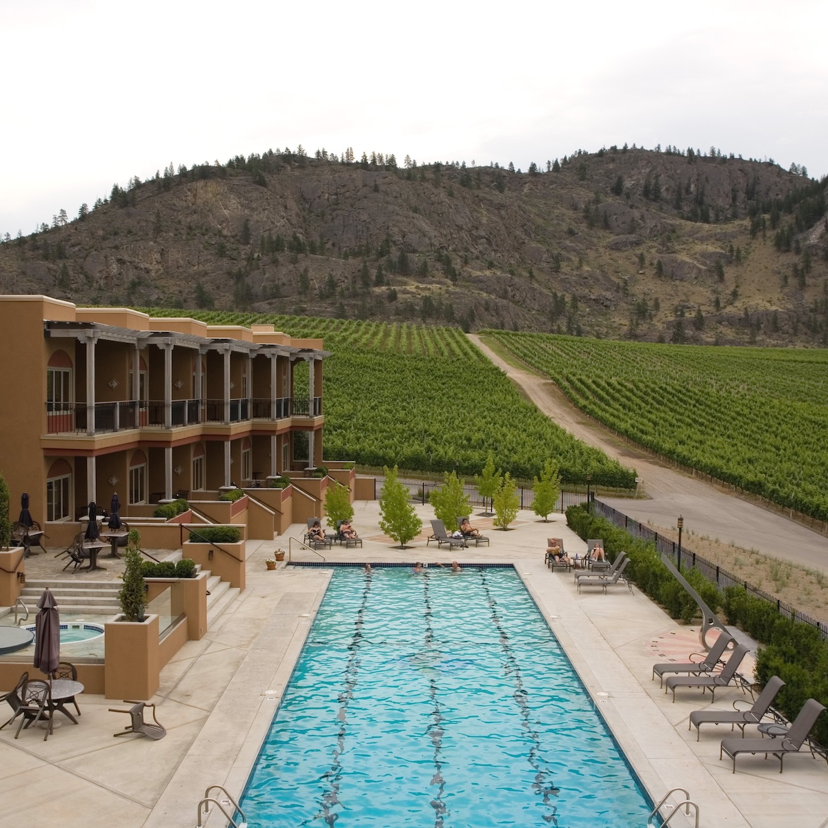 4 Amazing Wineries To Experience In Canada’s Only Desert | TravelAwaits