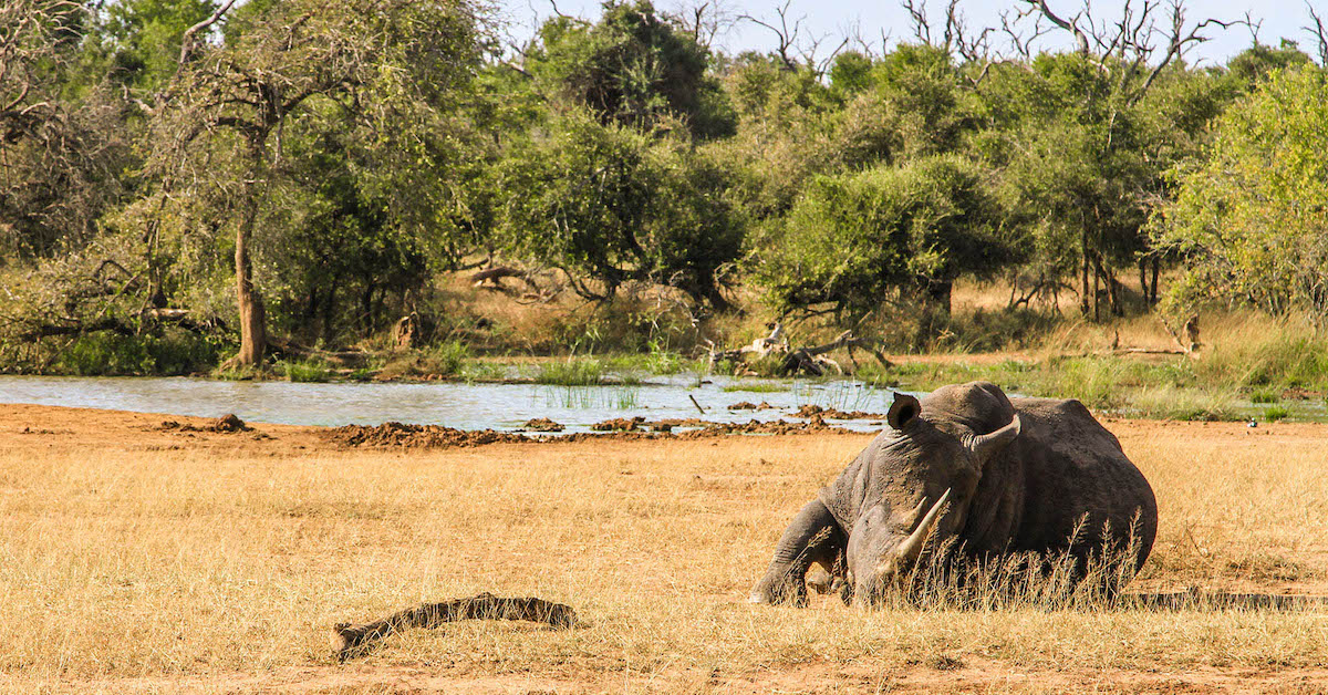 5 Reasons To Visit Scenic Eswatini — Southern Africa’s Hidden Gem ...