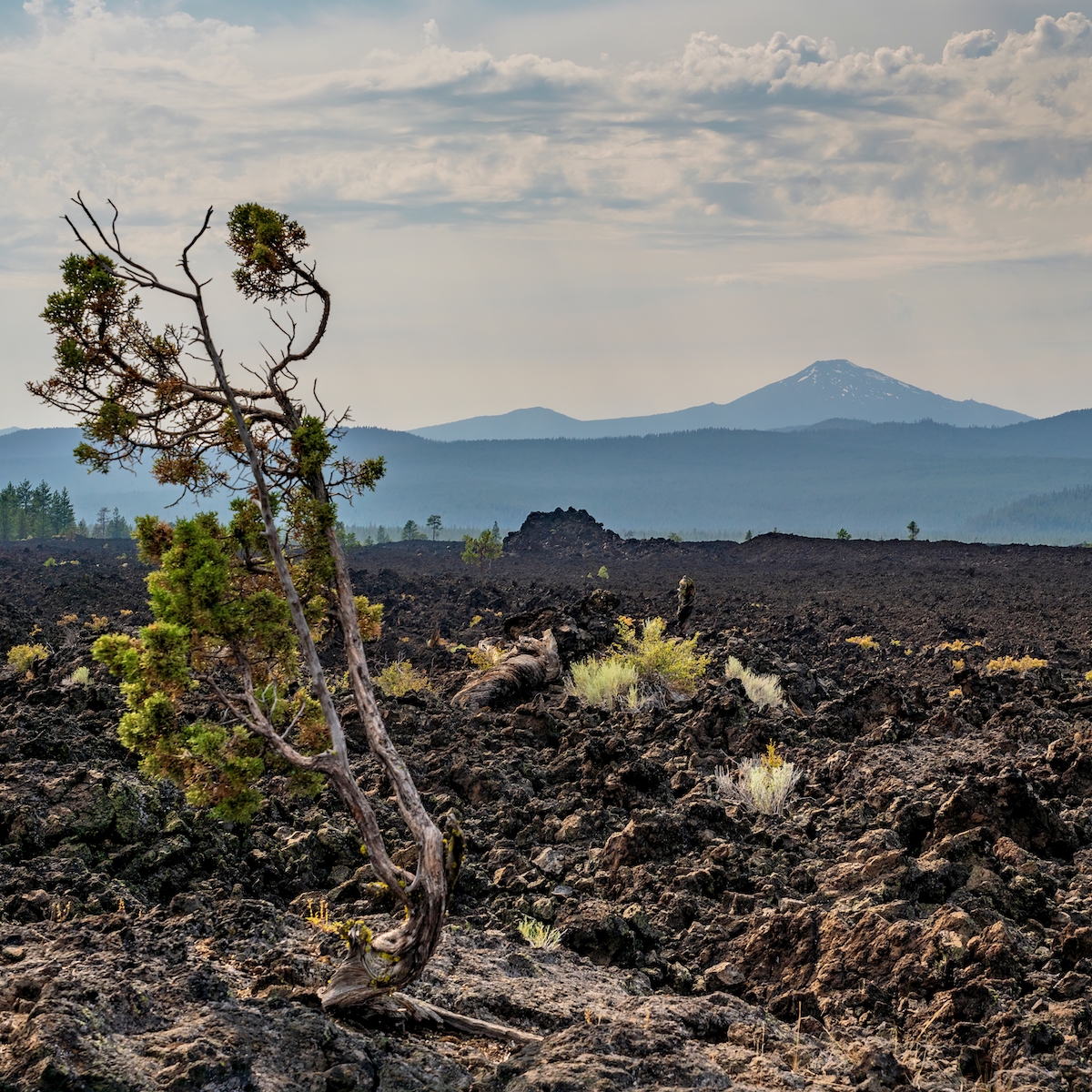 7 Adventures At Newberry National Volcanic Monument | TravelAwaits