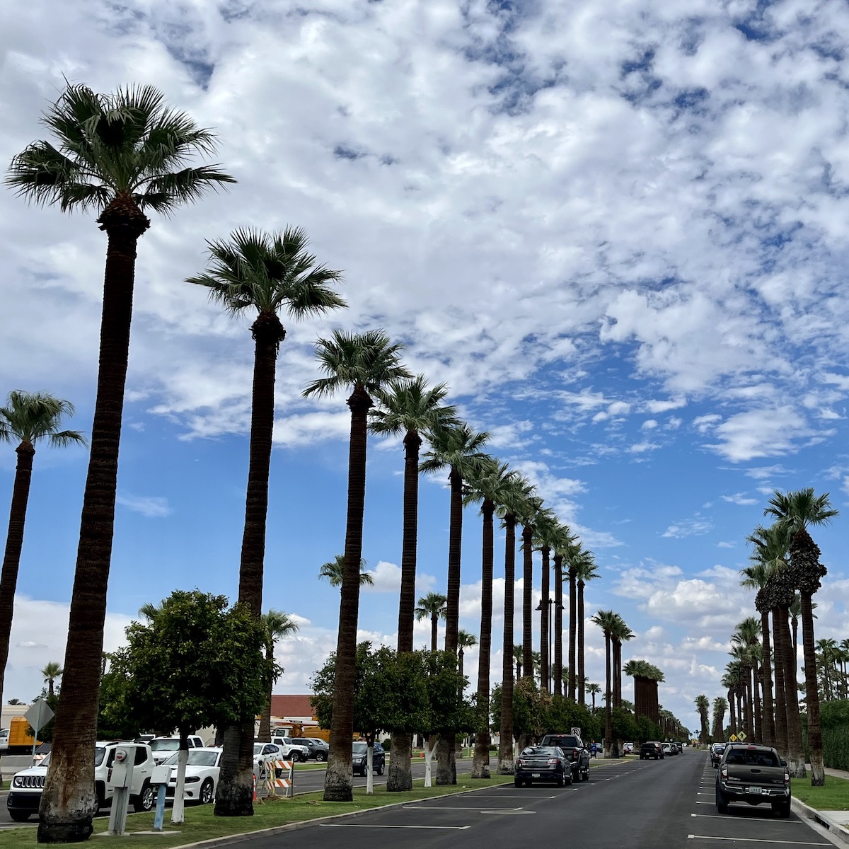 7 Reasons Why Litchfield Park Is A Destination All Its Own | TravelAwaits