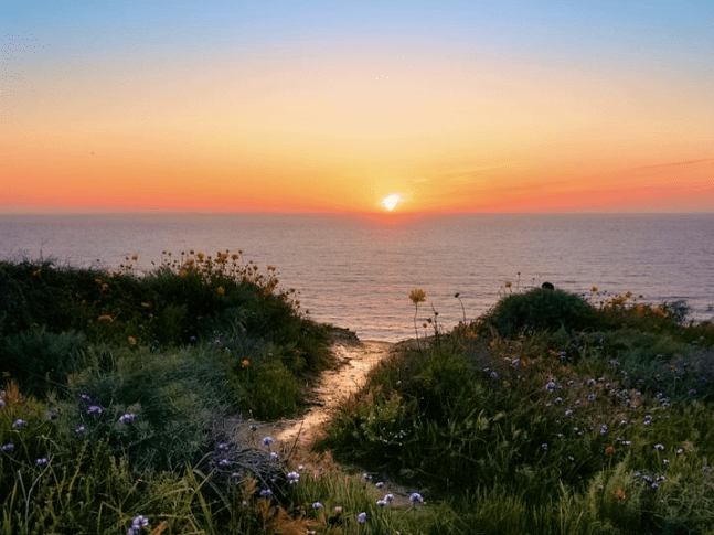 26 Best Warm Places to Visit in November in USA - TravelAwaits