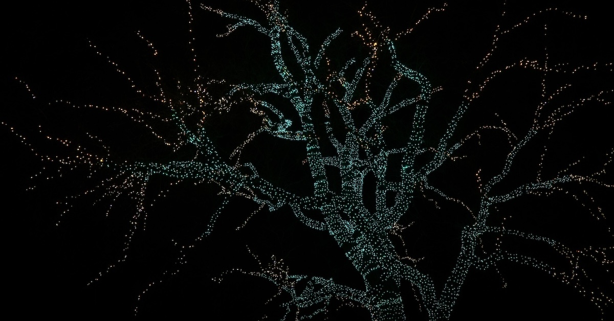 Christmas In Denver, Colorado: 6 Top Events To Check Out | TravelAwaits