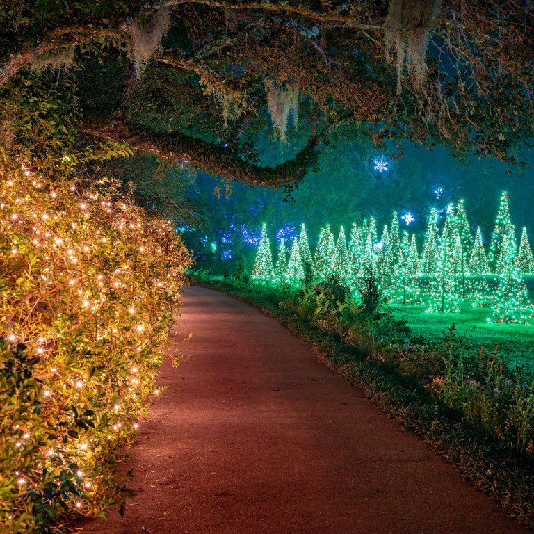 7 Christmas Towns In Alabama To Get Anyone In The Holiday Spirit ...
