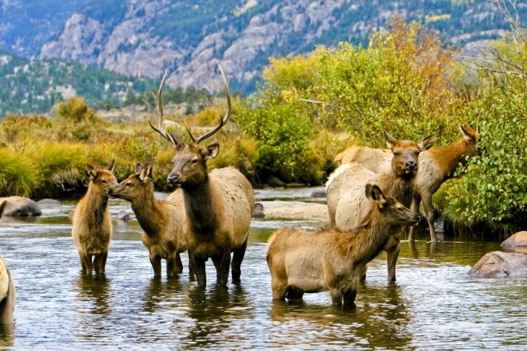 Add These 4 Great American Wilderness Areas to Your Travel List ...