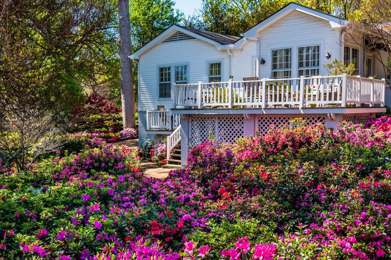 All of the Greatest Things To Do In Tyler, Texas, the ‘Rose Capital of ...