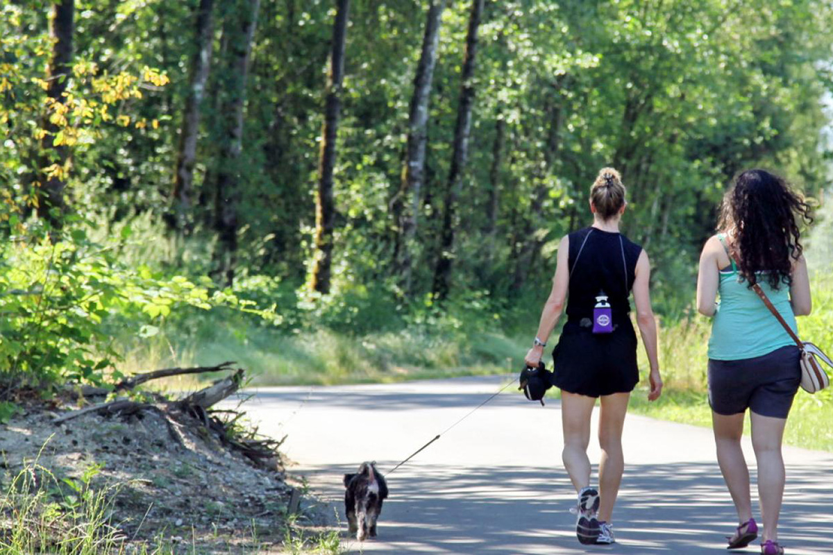 Destination Swap: Pick Surrey Instead of Vancouver for Your Next Trip ...