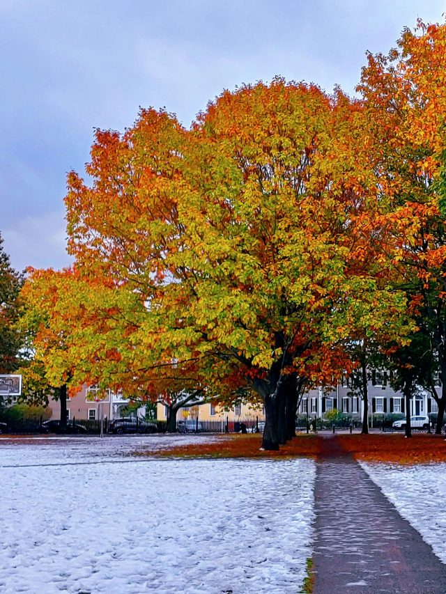 8 Best Hotels in Salem, MA | TravelAwaits