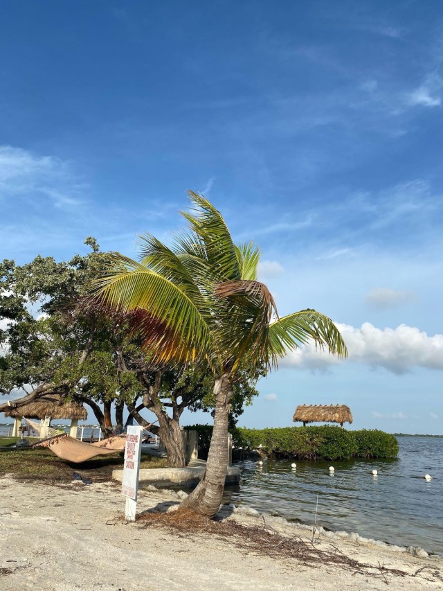 10 Best Off The Beaten Path Spots in the Lower Florida Keys | TravelAwaits