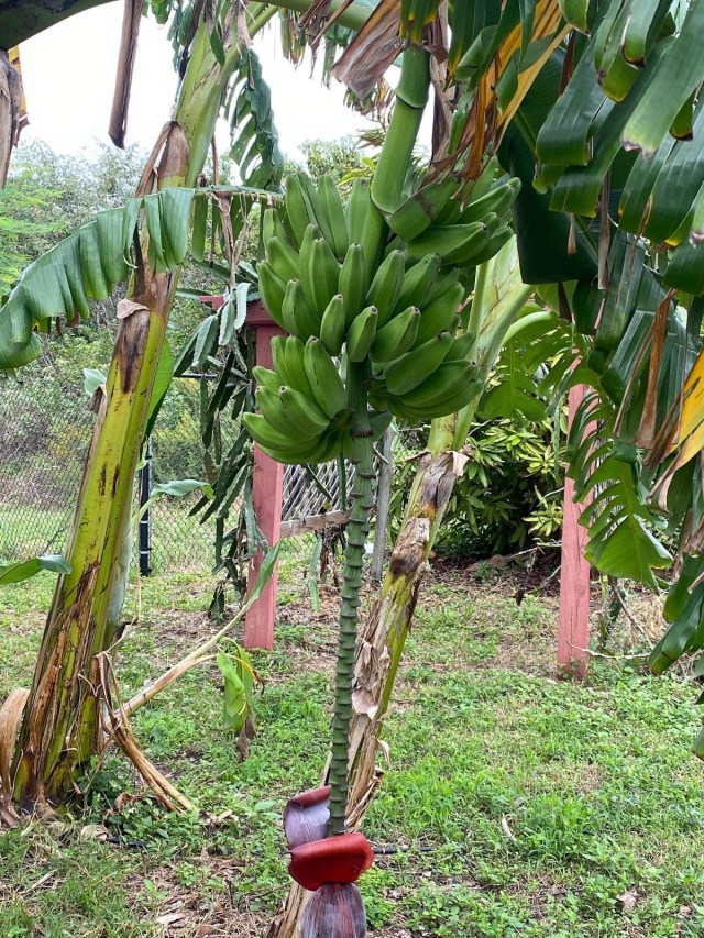 10 Best Off The Beaten Path Spots in the Lower Florida Keys | TravelAwaits