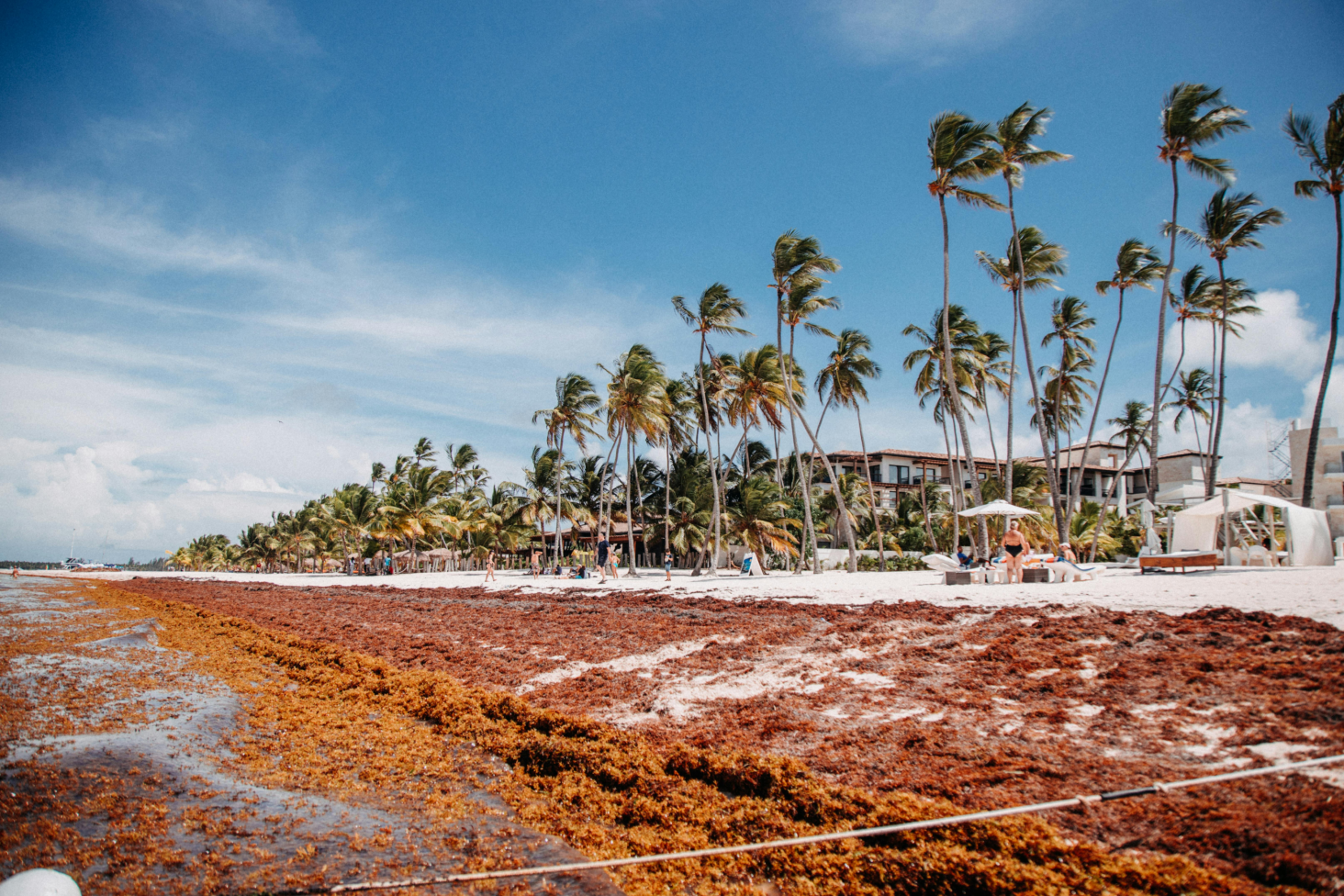 When is the Best Time to Visit Tulum? | TravelAwaits
