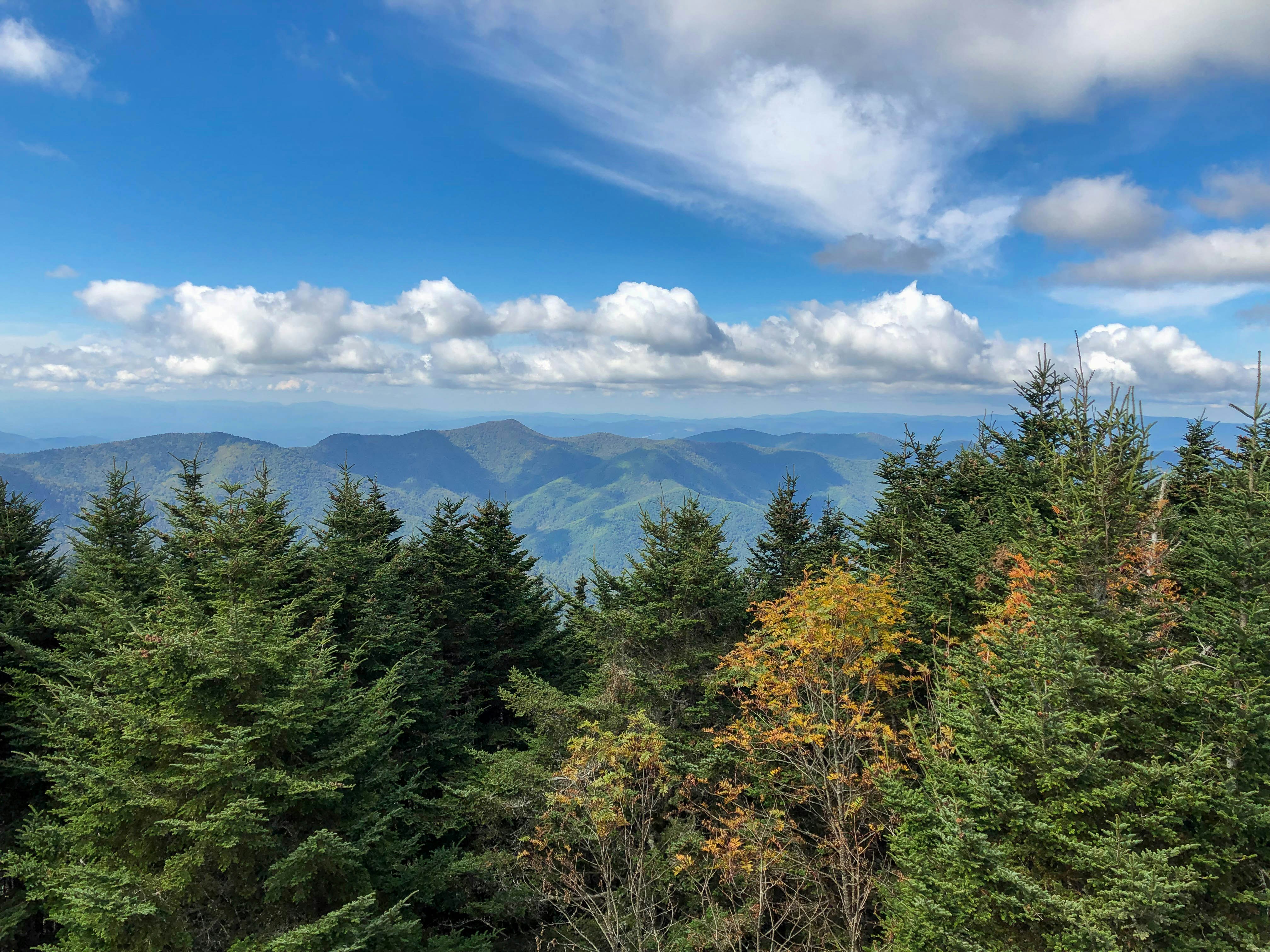Your summer guide to Mount Mitchell, aka Attakulla | TravelAwaits
