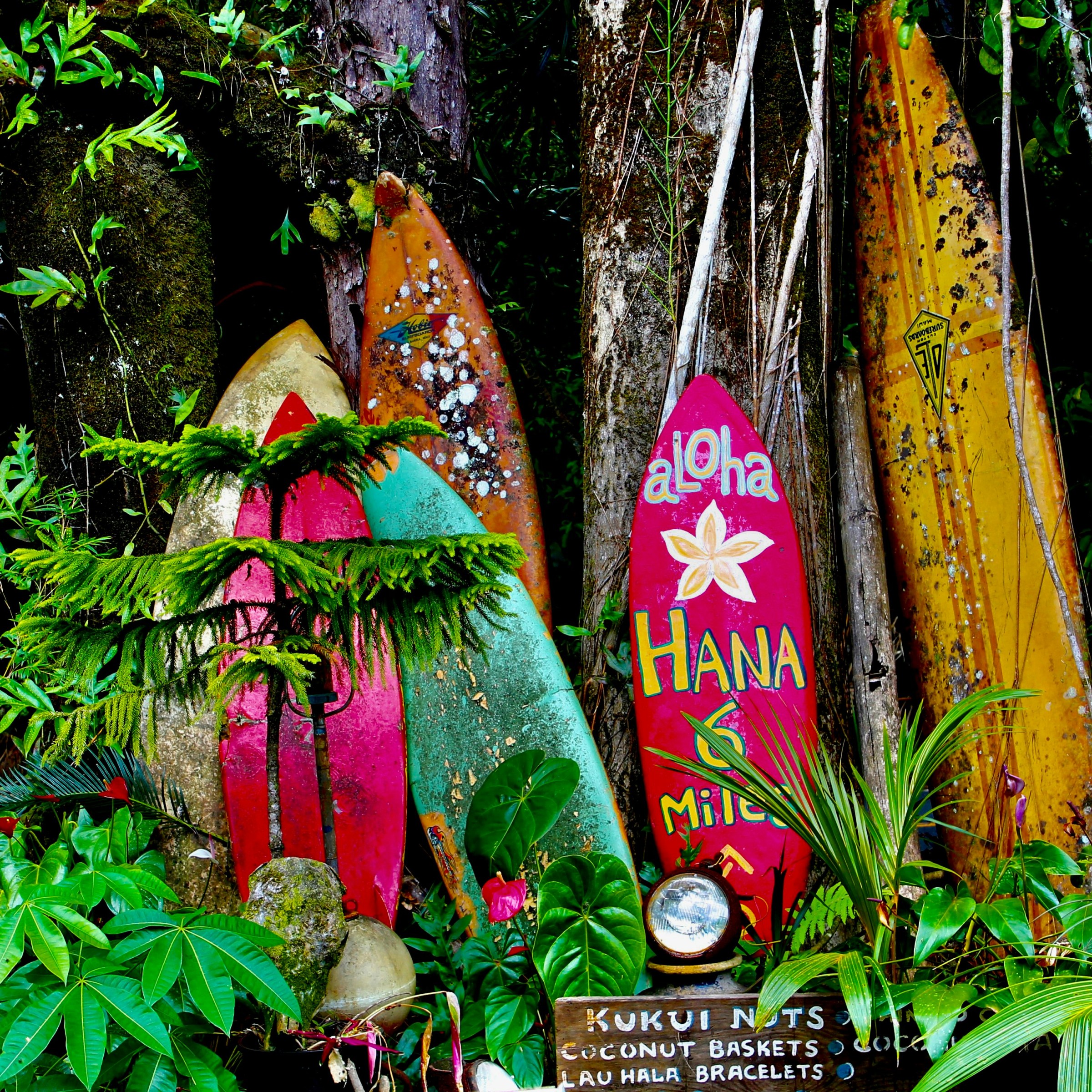 Maui Tourism Rebuild: How to Support Lahaina | TravelAwaits