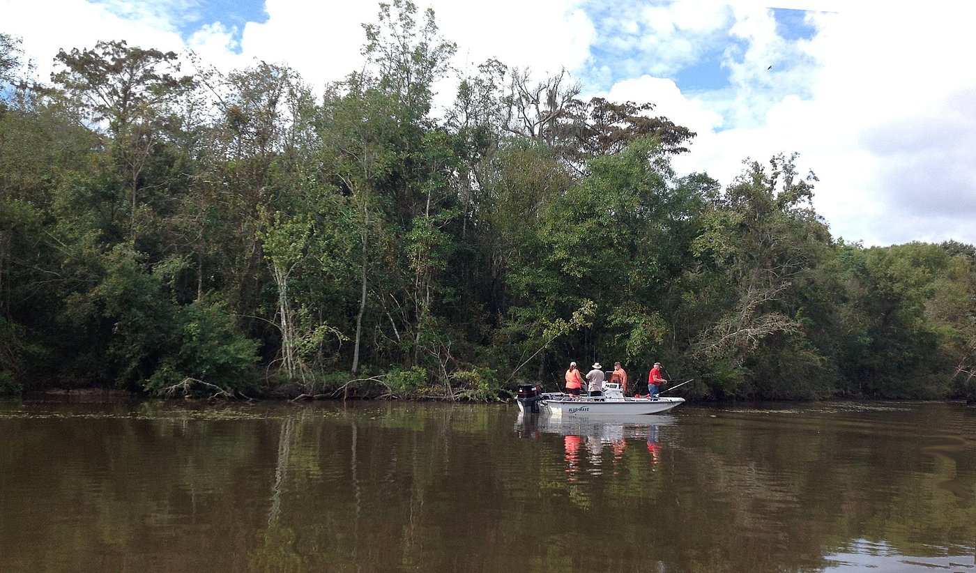 Cajun Recommendations: Honey Island Swamp Tour | TravelAwaits