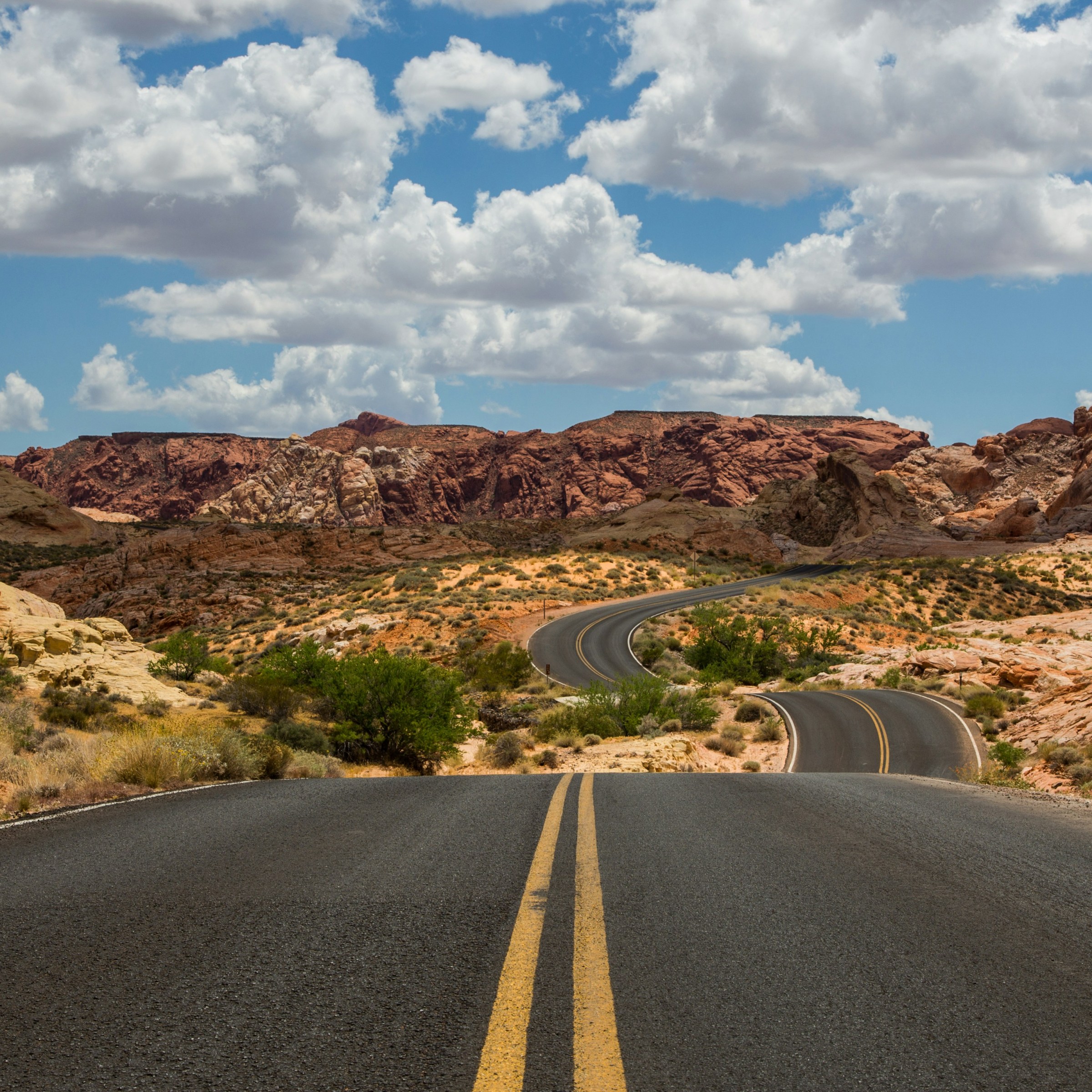 Road Trip Packing List: Products that Will Save Your Sanity | TravelAwaits