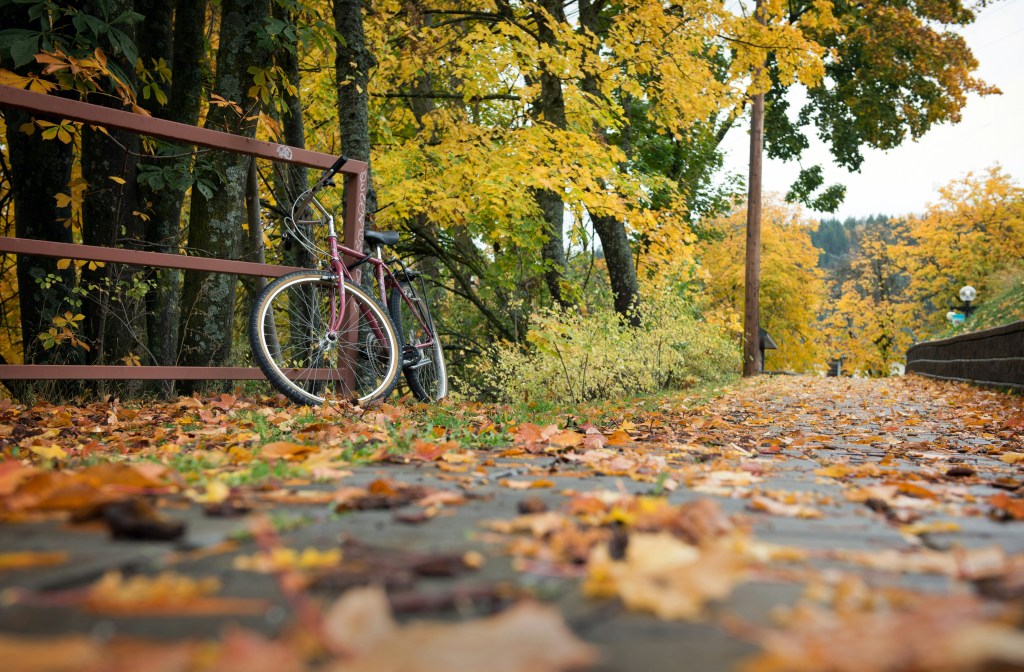 Best Autumn Travel Spots in British Columbia | TravelAwaits