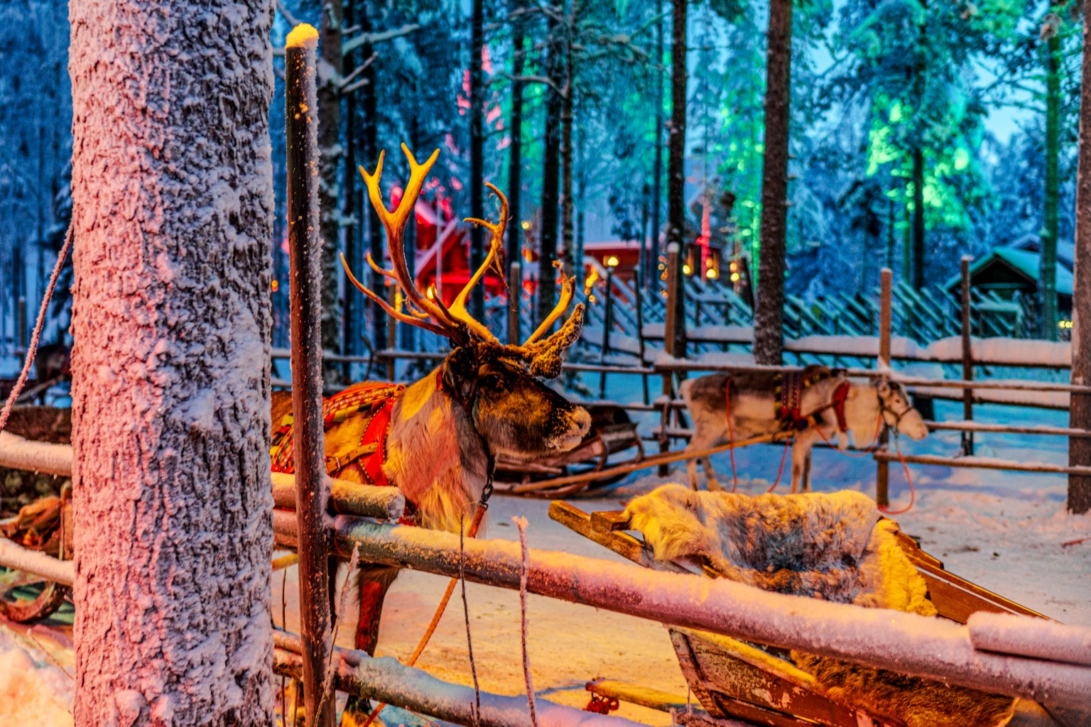 Christmas Travel Guide: How to Visit Santa Claus Village in Rovaniemi ...