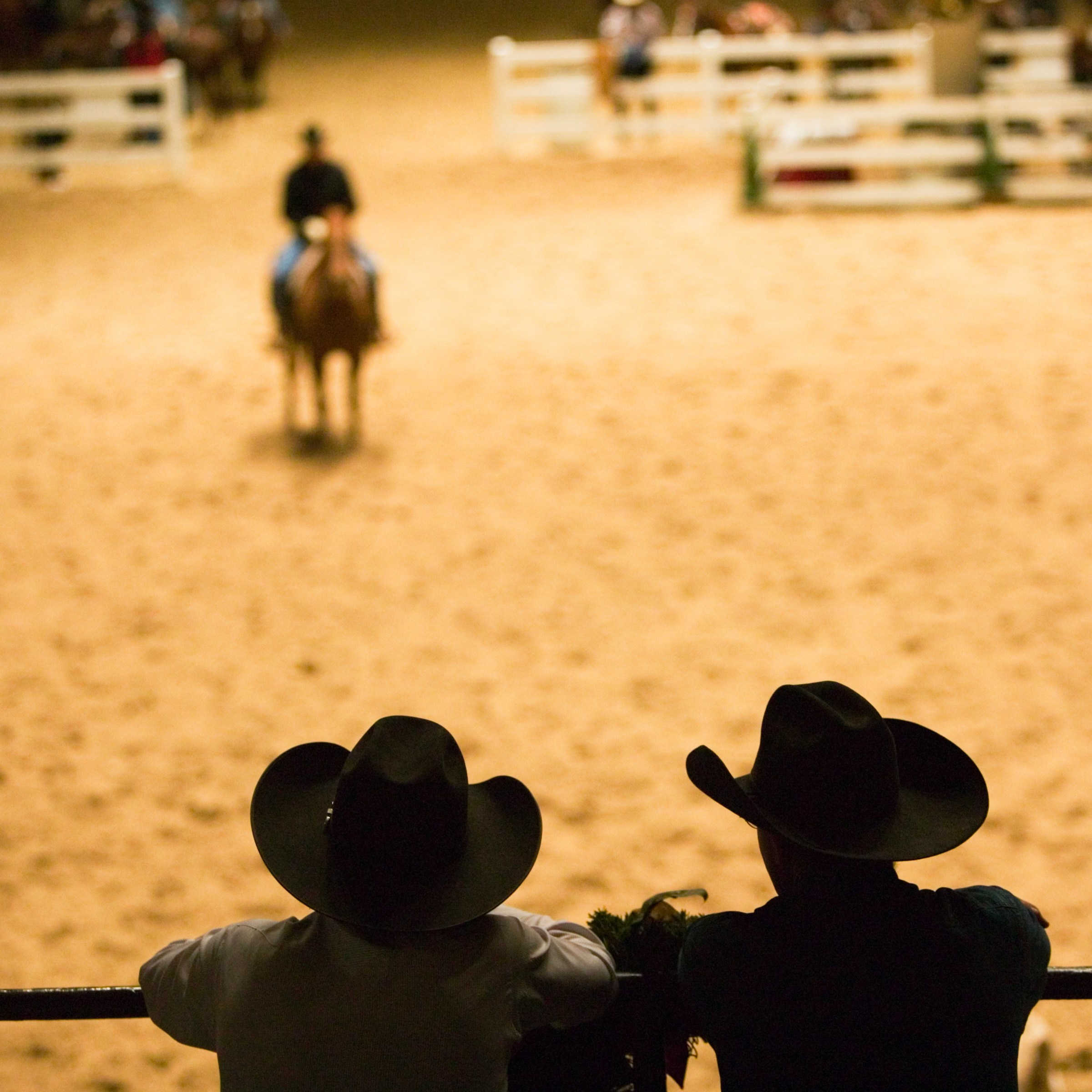 The Top 2 Rodeos in Fort Worth: A Beginner's Guide | TravelAwaits