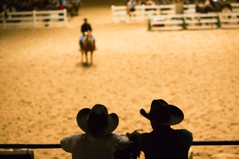 The Top 2 Rodeos in Fort Worth: A Beginner's Guide | TravelAwaits