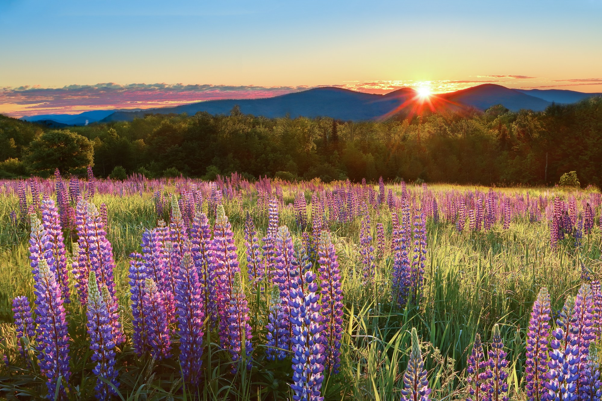 Best Things to Do in New Hampshire Each Season | TravelAwaits