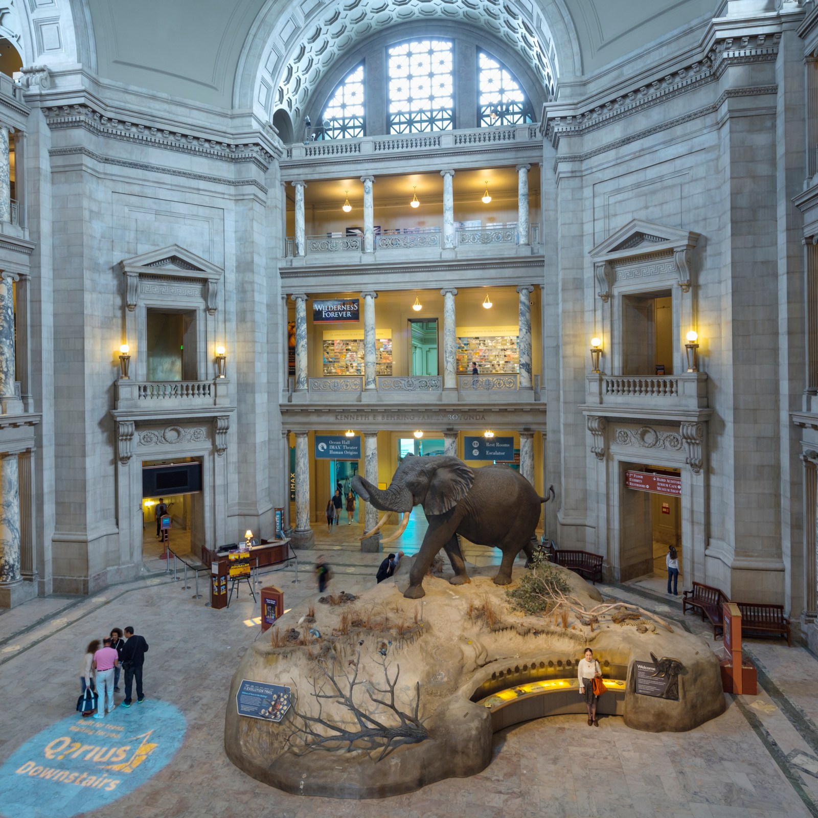 10 Great Free Museums in Washington DC | TravelAwaits