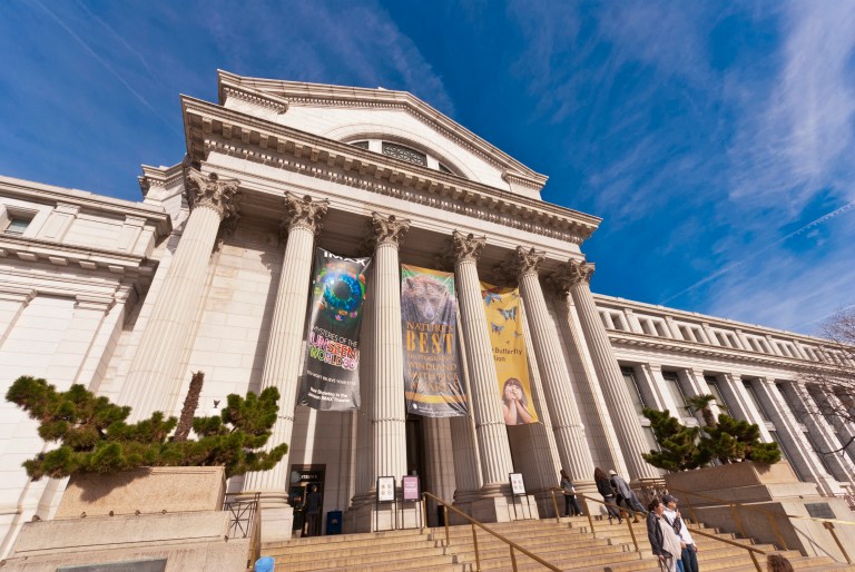 10 Great Free Museums in Washington DC | TravelAwaits