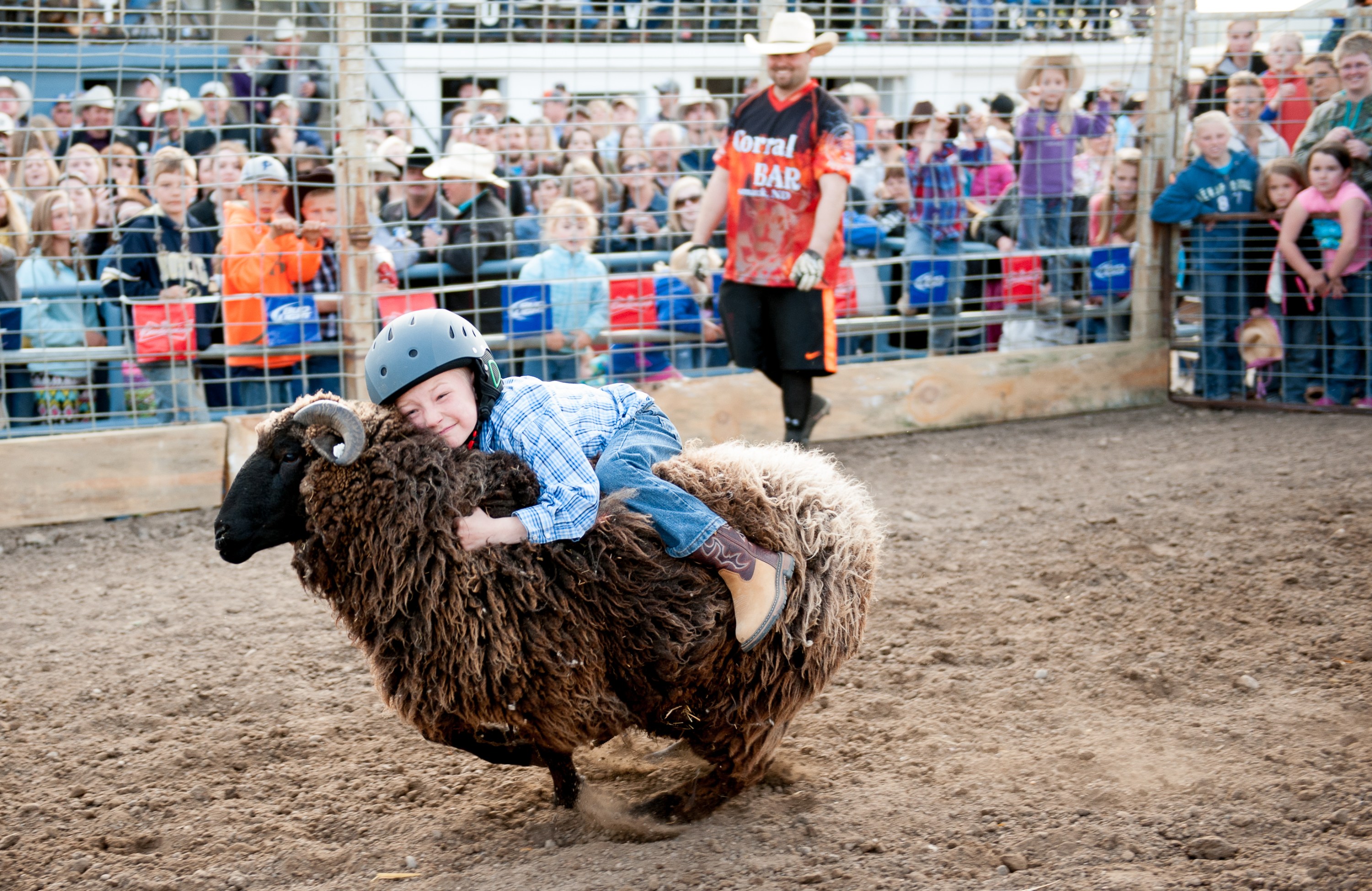 8 Montana Rodeos to Keep on Your Calendar This Summer | TravelAwaits