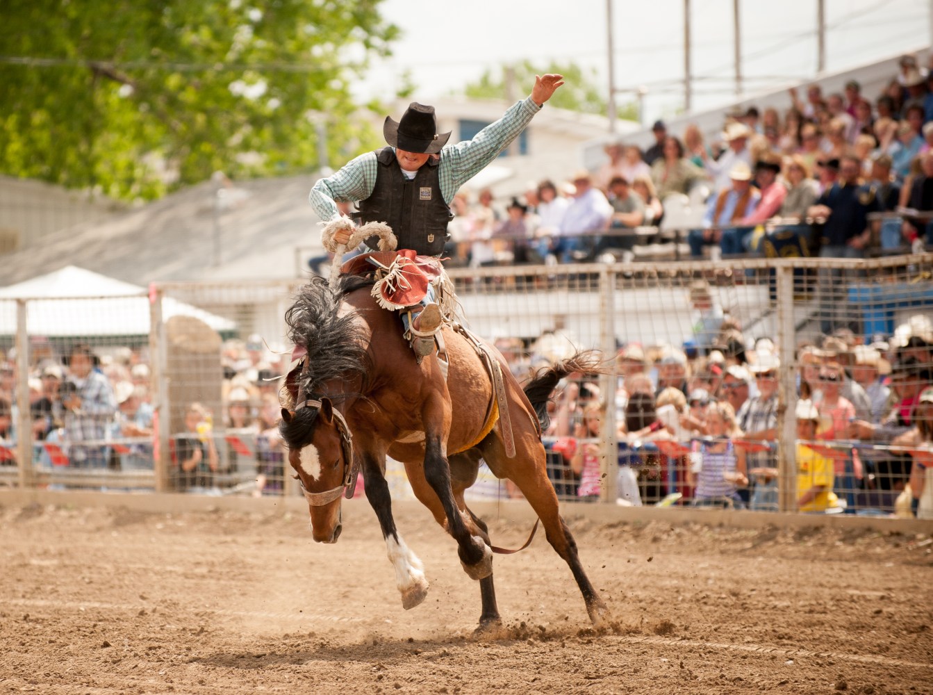 8 Montana Rodeos to Keep on Your Calendar This Summer | TravelAwaits