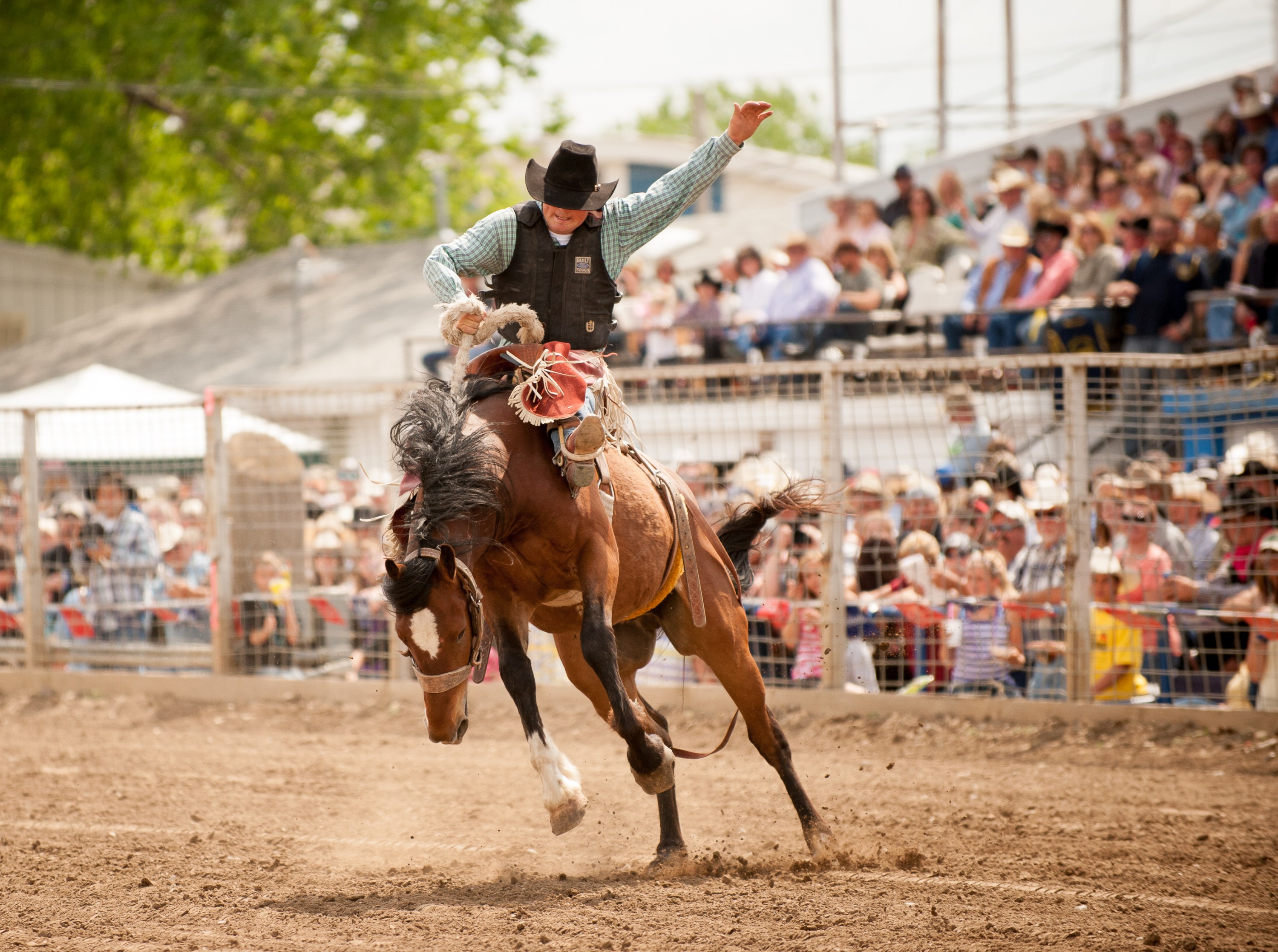 8 Montana Rodeos to Keep on Your Calendar This Summer | TravelAwaits