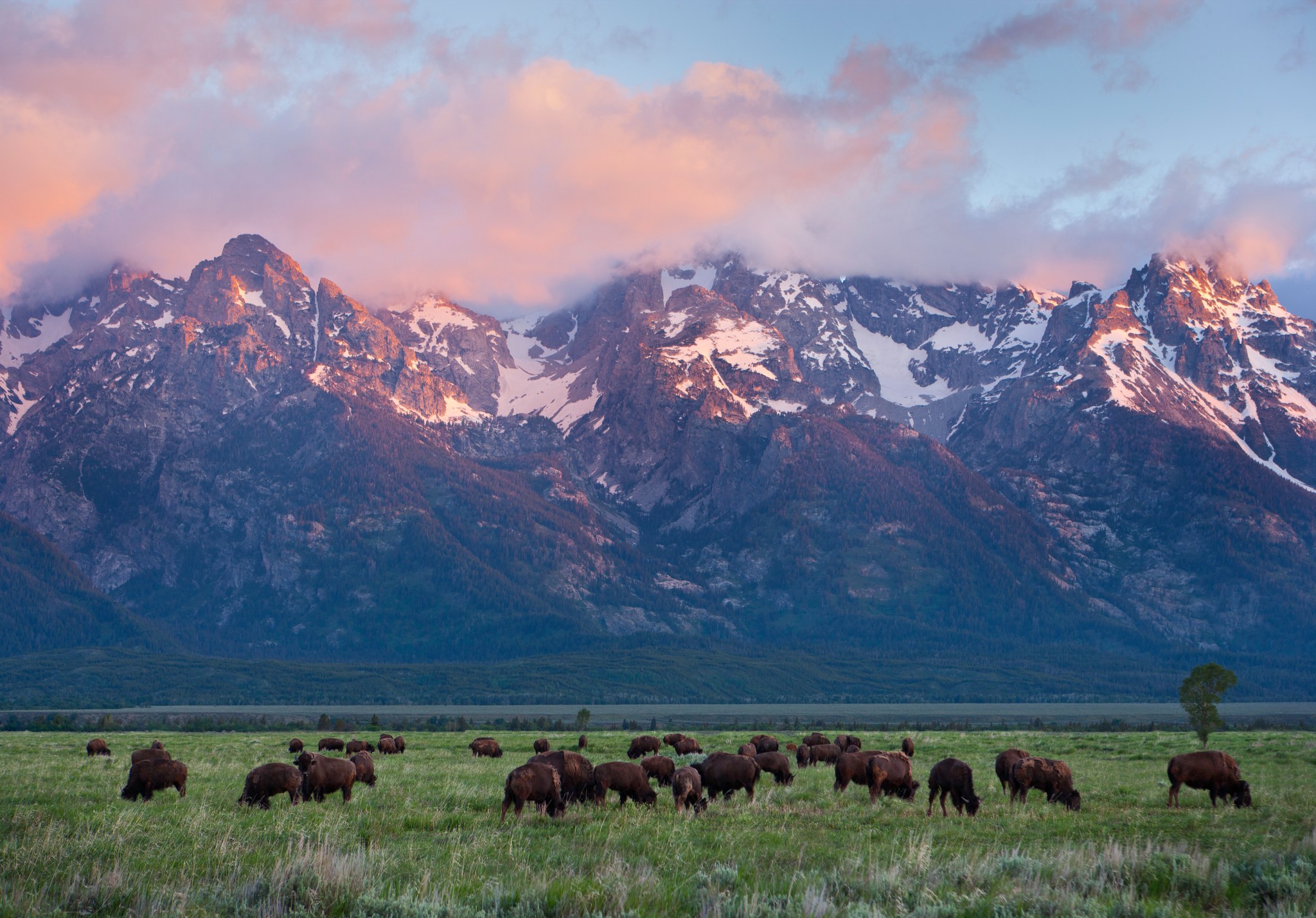 Welcome to the US’s Most Beautiful Airport: Bozeman Yellowstone ...