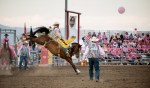 8 Montana Rodeos to Keep on Your Calendar This Summer | TravelAwaits
