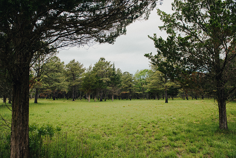 5 Ways to Visit New Jersey’s Pine Barrens | TravelAwaits