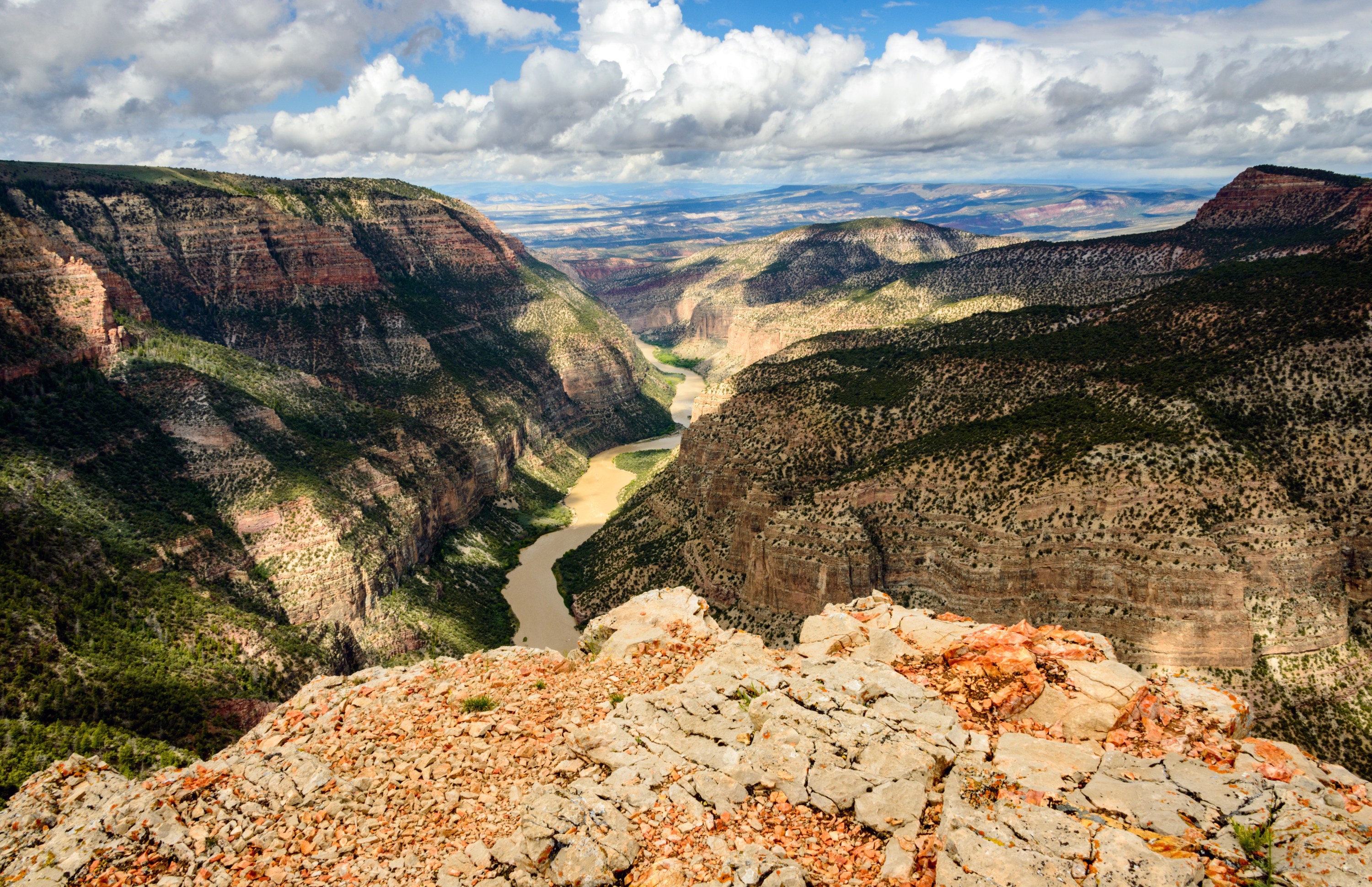 Dinosaur National Monument: How to See Fossils, Petroglyphs, & More ...