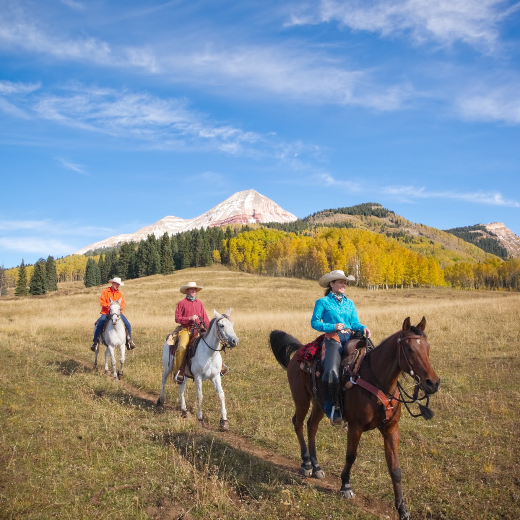 4 Amazing Ranches To Go Horseback Riding in Colorado | TravelAwaits