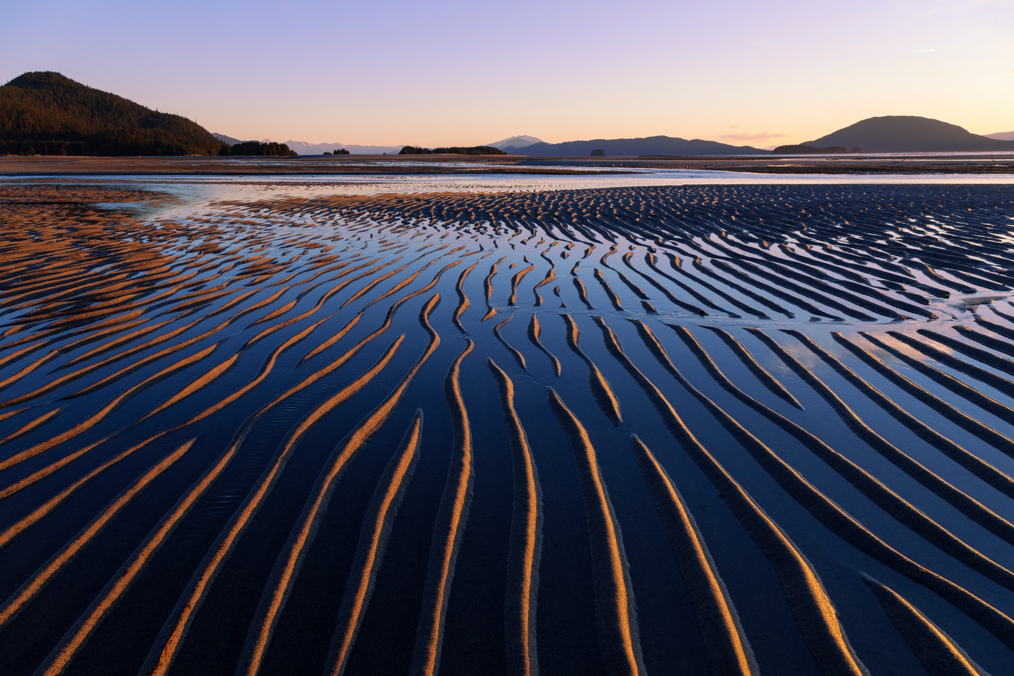 Must-See Alaska Beaches: Black Sands, Wildlife Sightings, & More ...