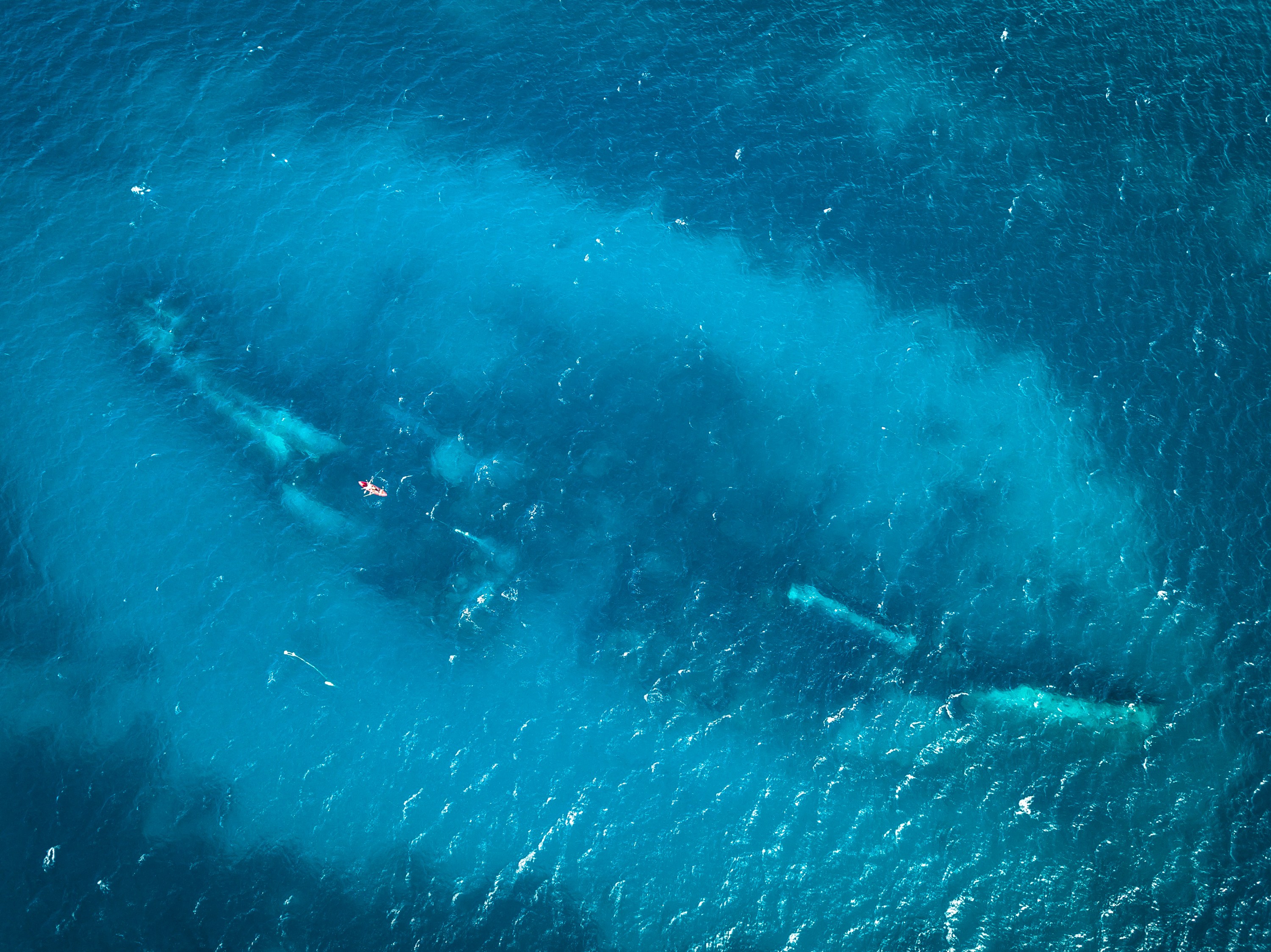 Caribbean Shipwrecks That You Can Explore While Snorkeling—Plus, Where ...