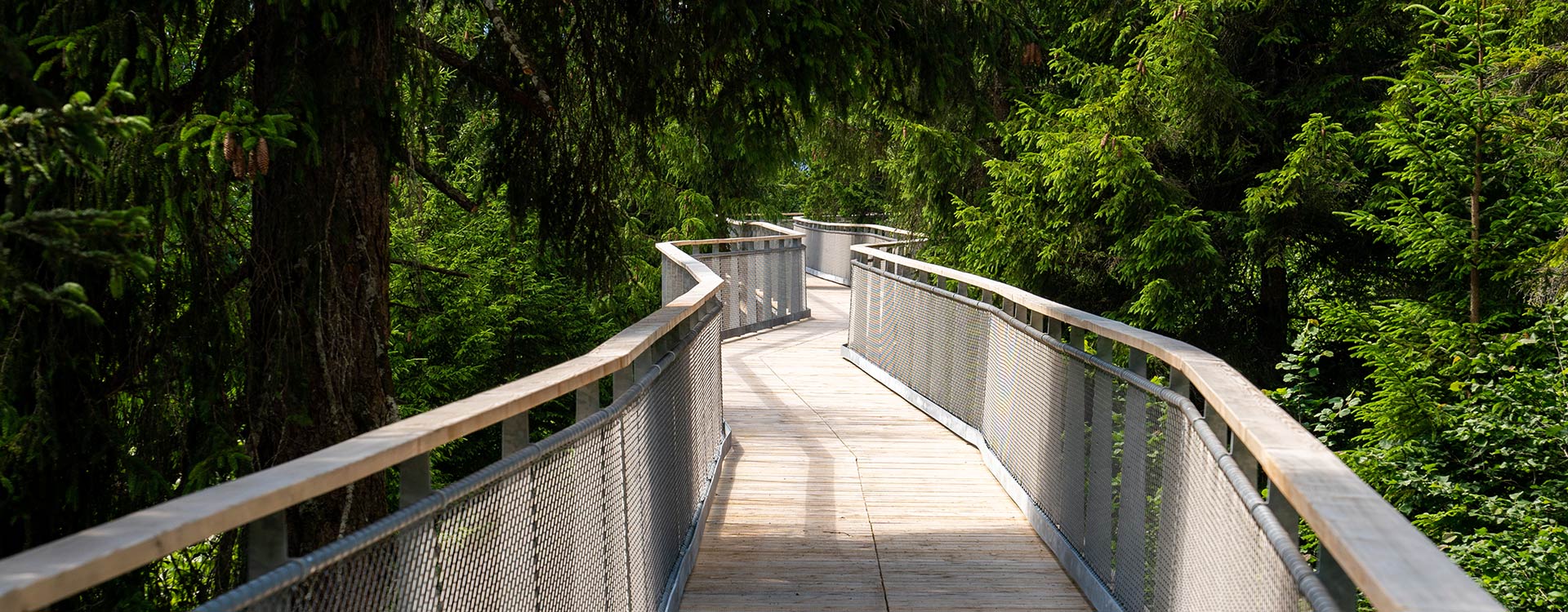 3 of the Coolest Treetop Walks in Europe: Switzerland, Germany ...