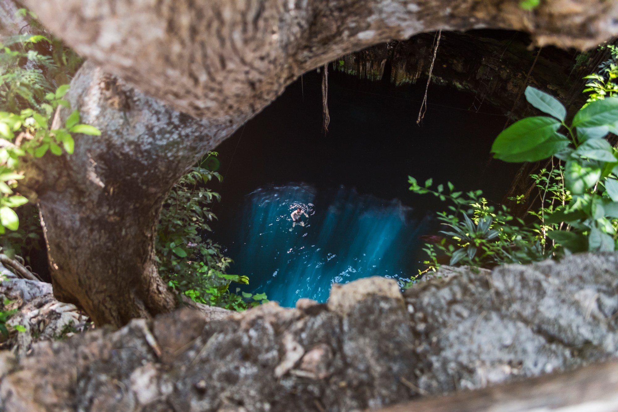 9 Crazy Facts About Cenotes, Mexico’s Swimmable Sinkholes | TravelAwaits