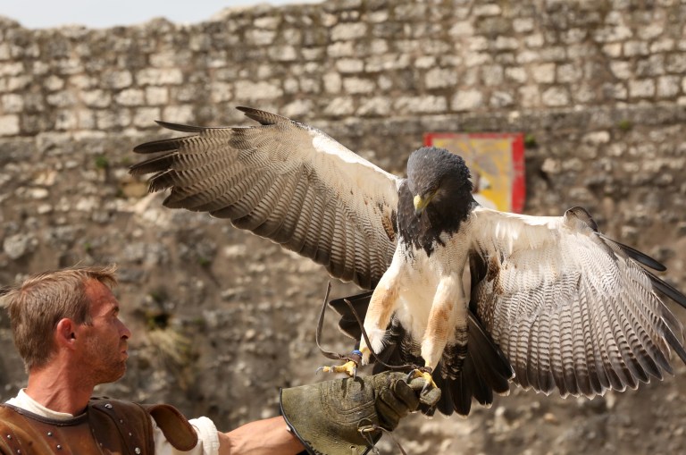The 5 Largest Renaissance Fairs in Europe | TravelAwaits